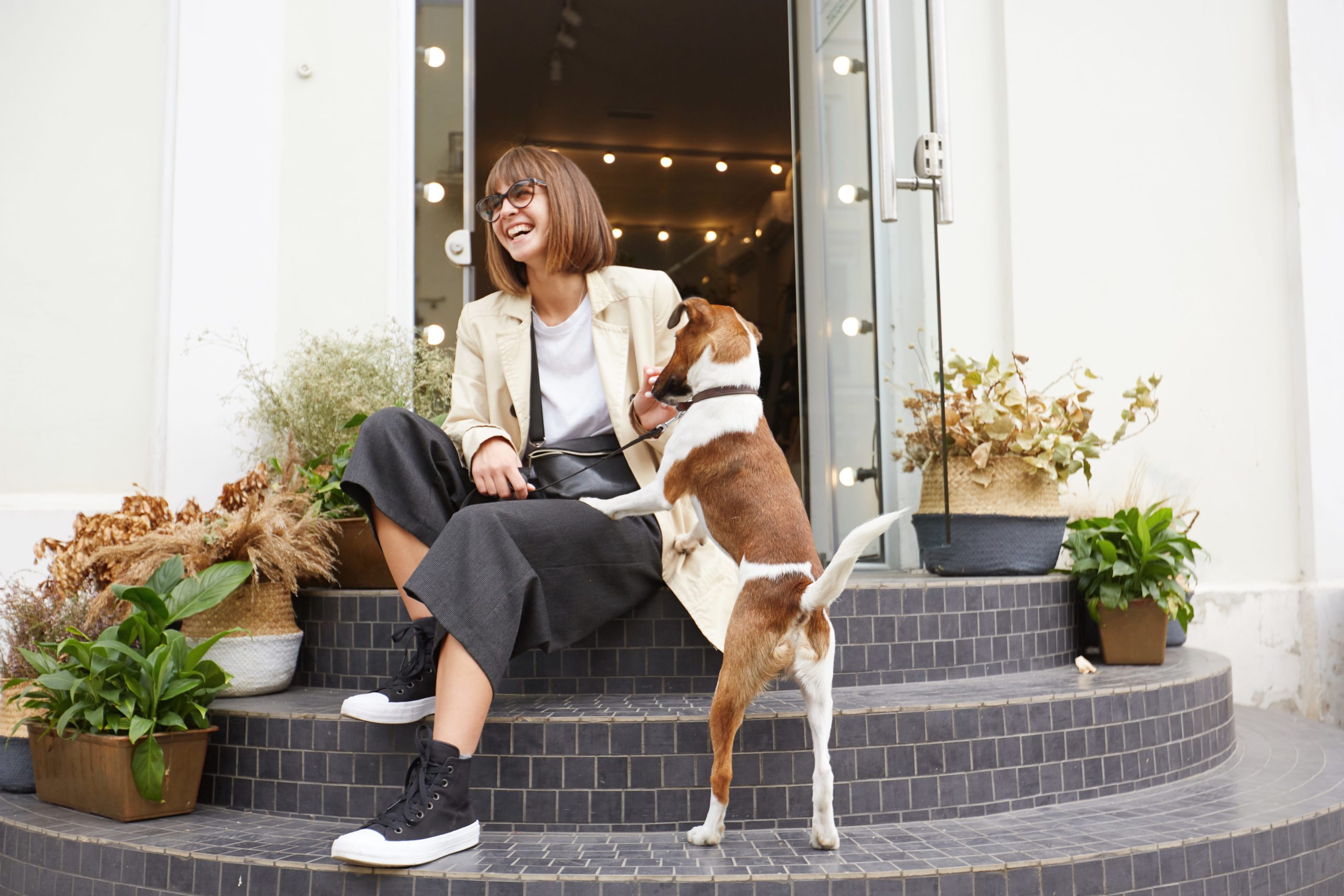 Layout de pet shop: aprenda a organizar a loja do jeito certo - All Pet